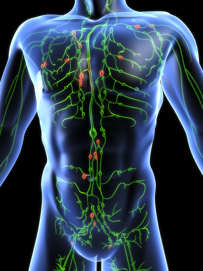 Lymphoma Lymph Nodes Lymphatic Cancer Symptoms Treatment