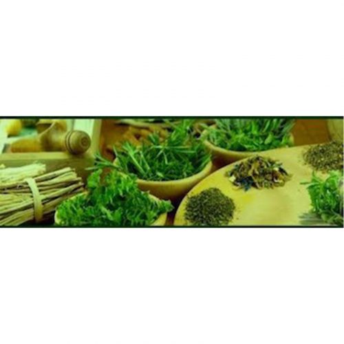 Ayurvedic Body Type: Vata - Yatan Holistic Ayurvedic Centre