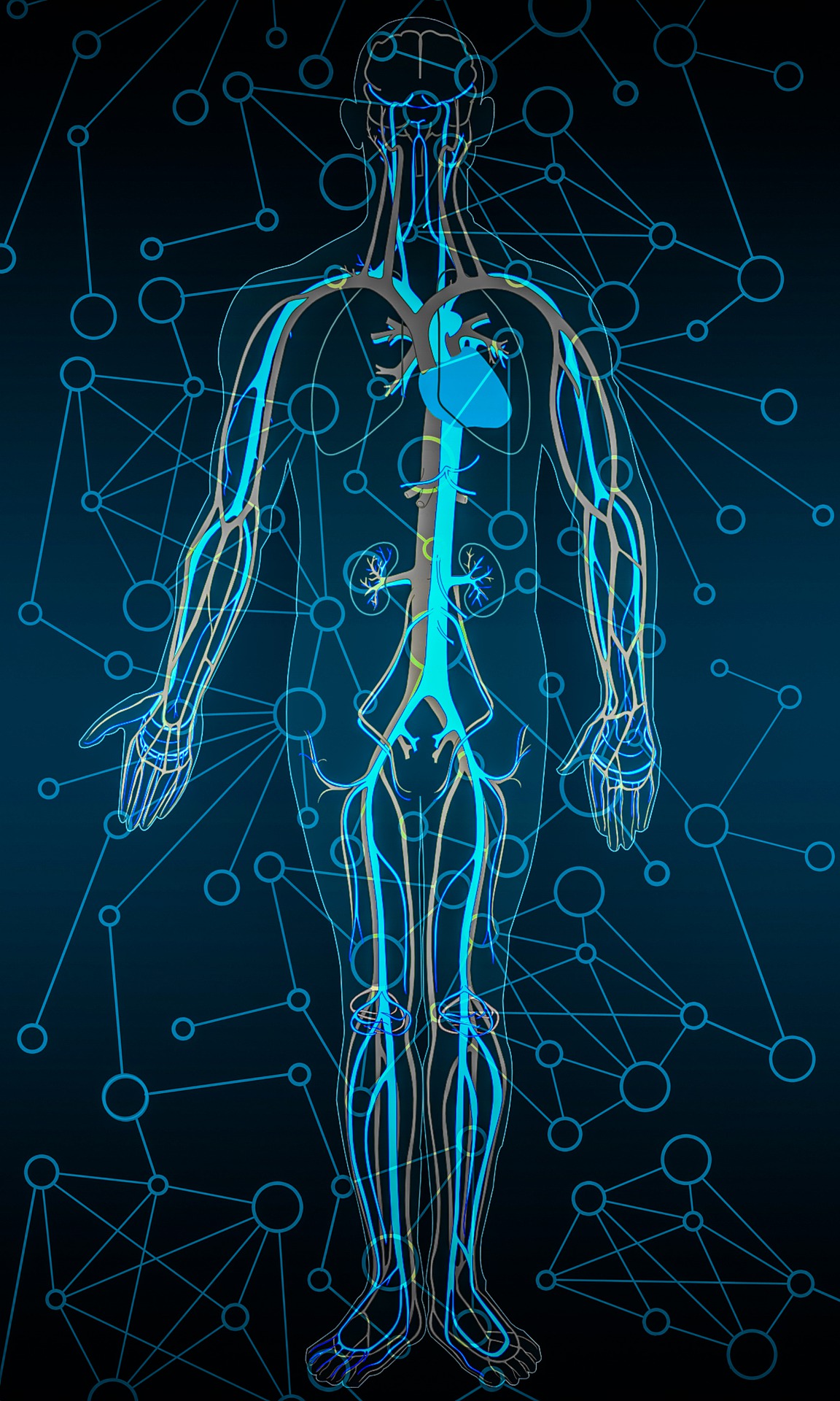 How Energy Is Produced in the Body? What to do to raise it?